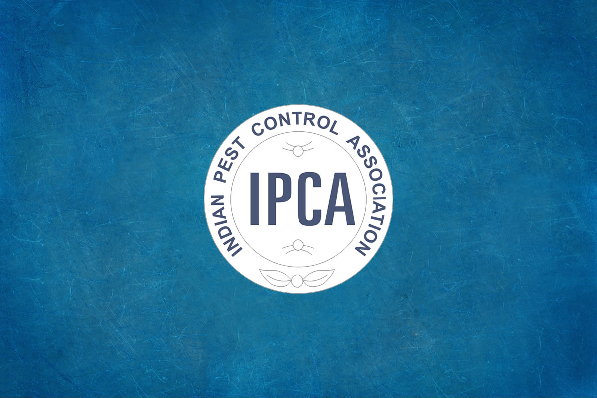 Ipca new Home page - IPCA